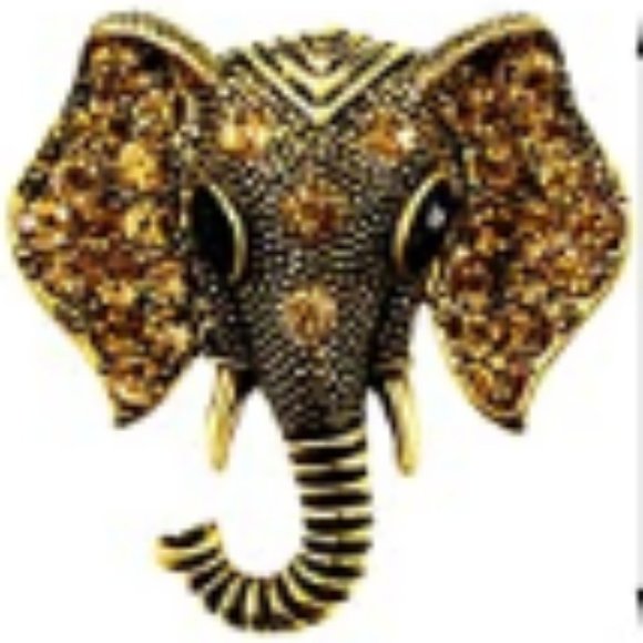 Jewelry | Golden Elephant Pin | Poshmark